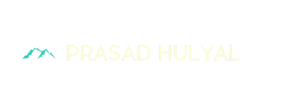 Prasad Portfolio